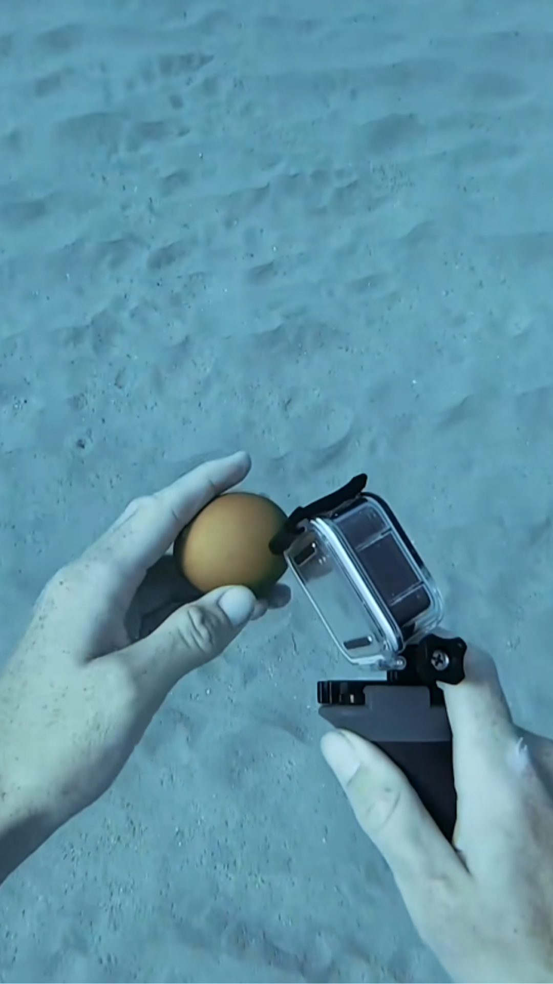 My Egg Friend