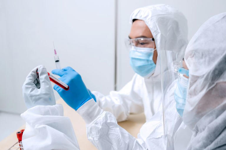 New bat viruses detected in China raise 'urgent concerns' for scientists