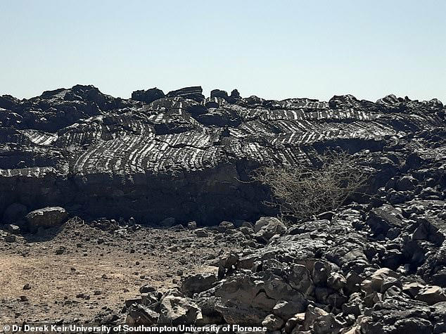 Africa is tearing in HALF: Scientists detect deep Earth pulses beneath ...
