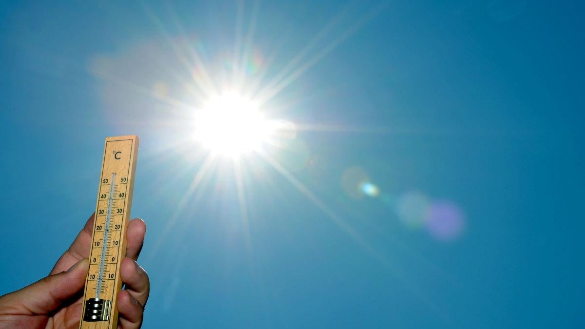 Hitzewelle in Österreich: So heiß wird es in den nächsten Wochen