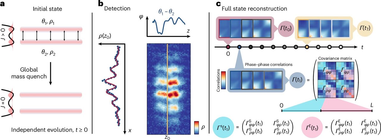 A new approach to probing Landauer's principle in the quantum many-body ...