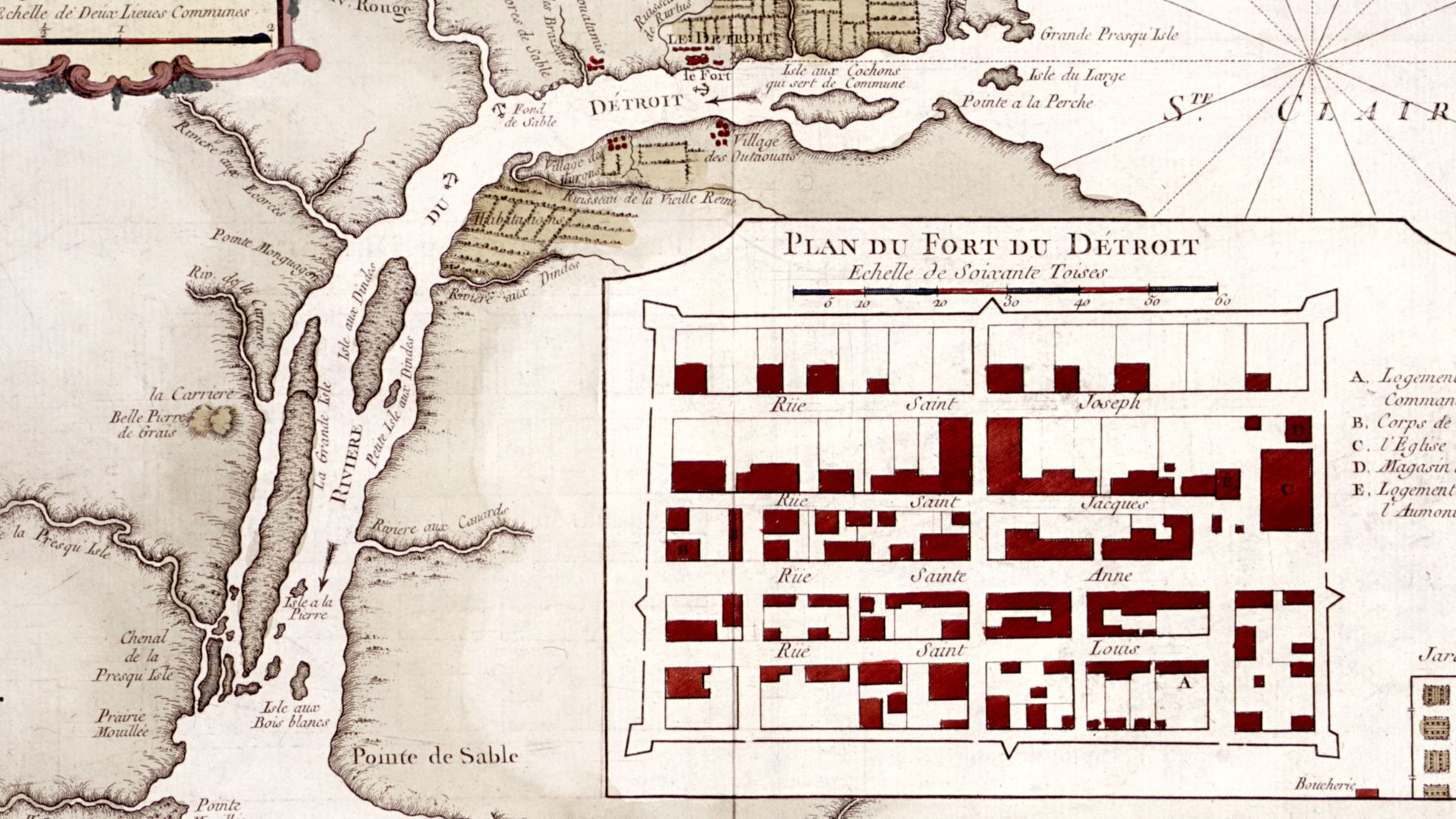 Rare human body features you didn’t know exist