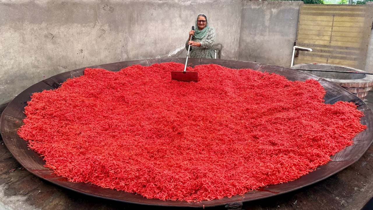 Making the Biggest Gajar Ka Halwa – Massive Sweet Feast