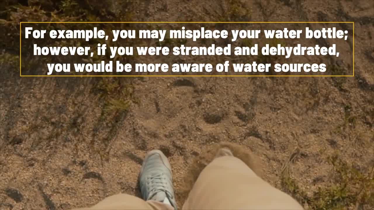 The Science Behind Why We Forget Things