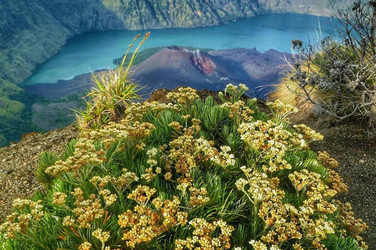 6 Jalur Pendakian Rinjani dari yang Mudah hingga Sulit