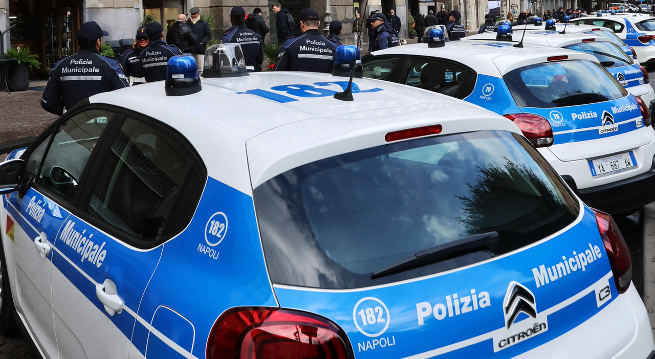 Napoli, controlli al Maradona in occasione del concerto di Cremonini ...
