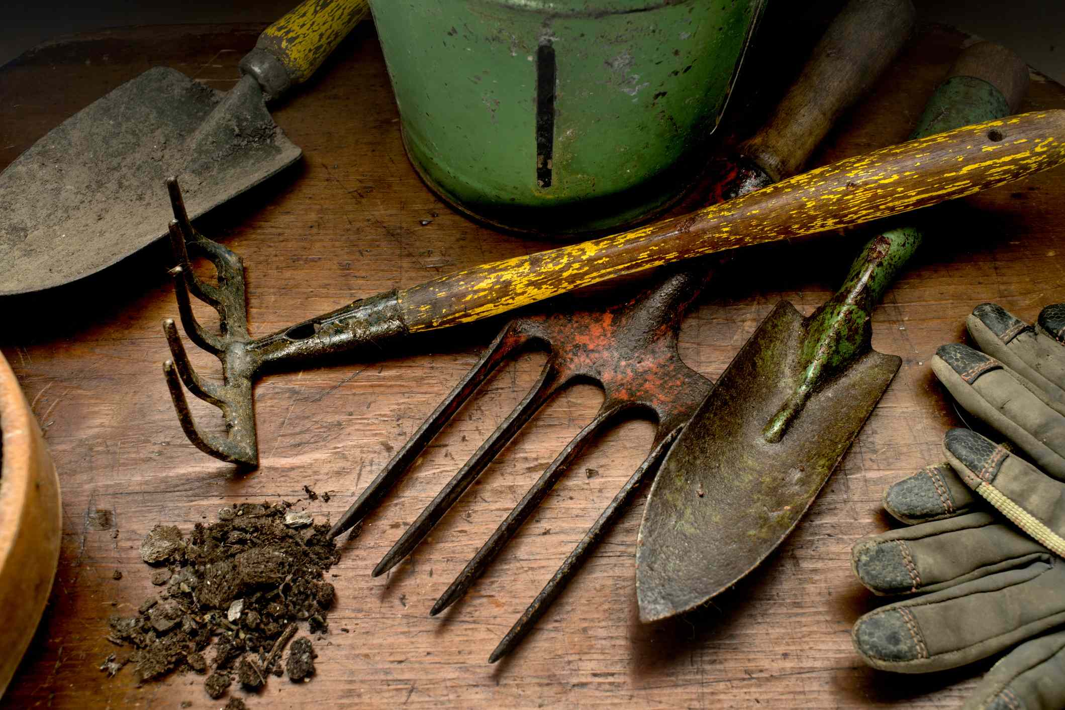 You Have to Clean Your Gardening Tools for Healthy Plants—How to Get It ...