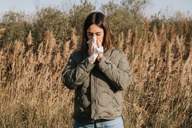 Hay fever sufferers told 'don't take' Kenalog drugs amid safety fears