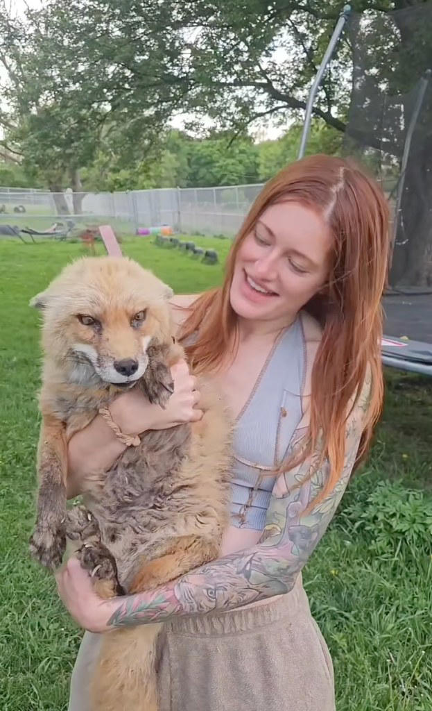 Youtube fox rescue star Mikayla Raines, 29, dies by suicide as 'broken ...
