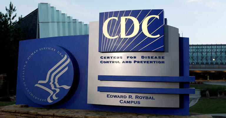 RFK Jr.'s CDC vaccine panel will review long-approved shots as skeptics ...