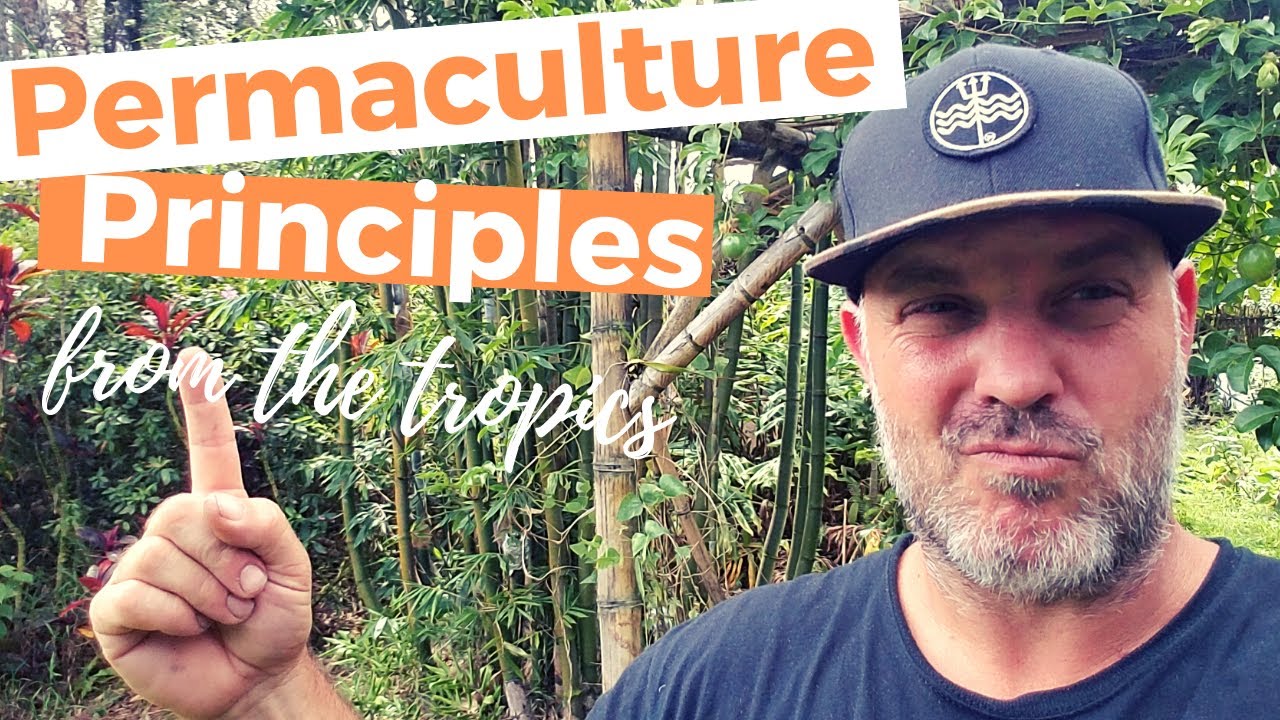 12 Permaculture Principles For An Off Grid Life