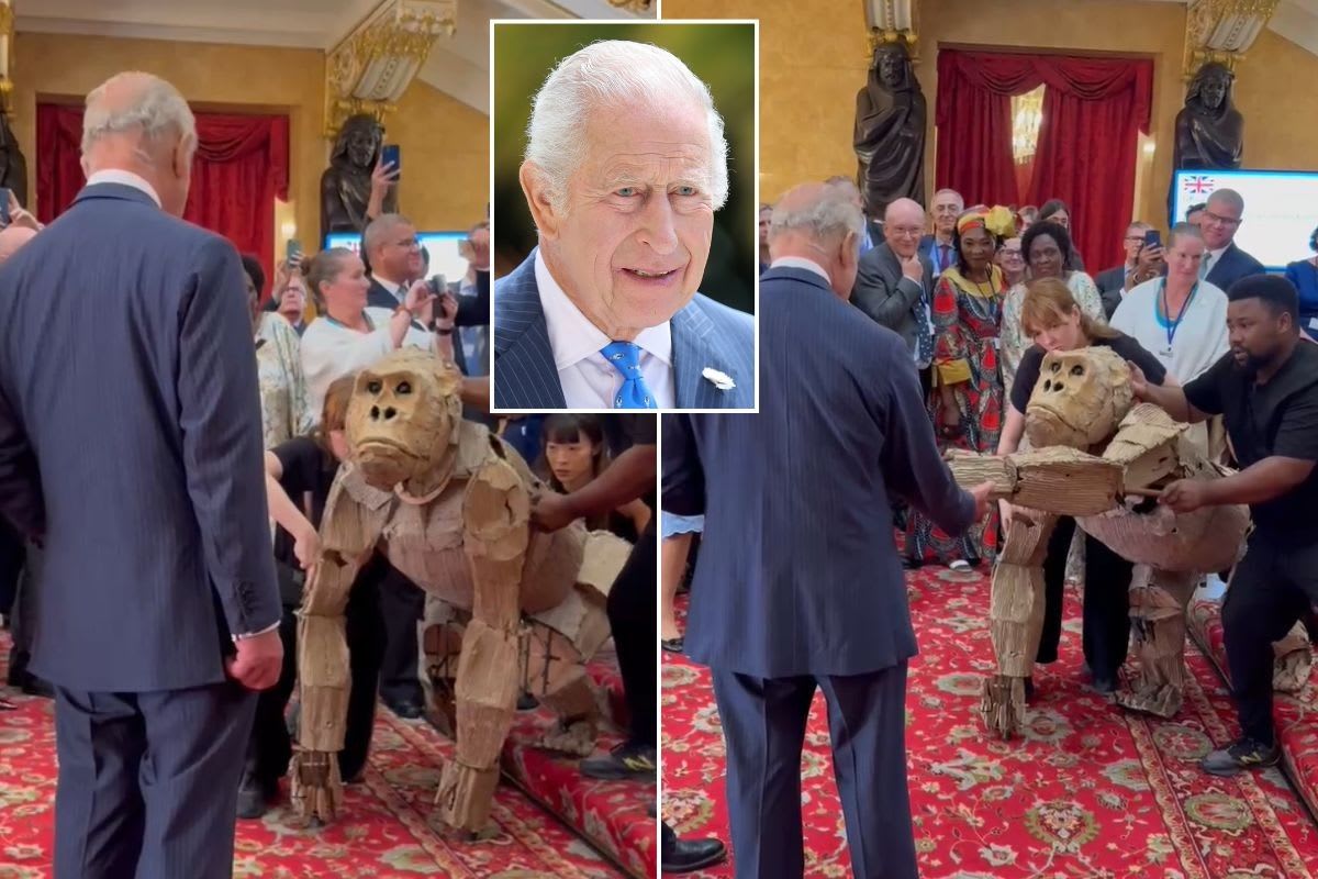 King Charles faces down gorilla and shakes hands with puppet ape in ...
