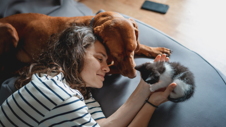 Can Pets That Aren't Cats Or Dogs Become Therapy Animals?