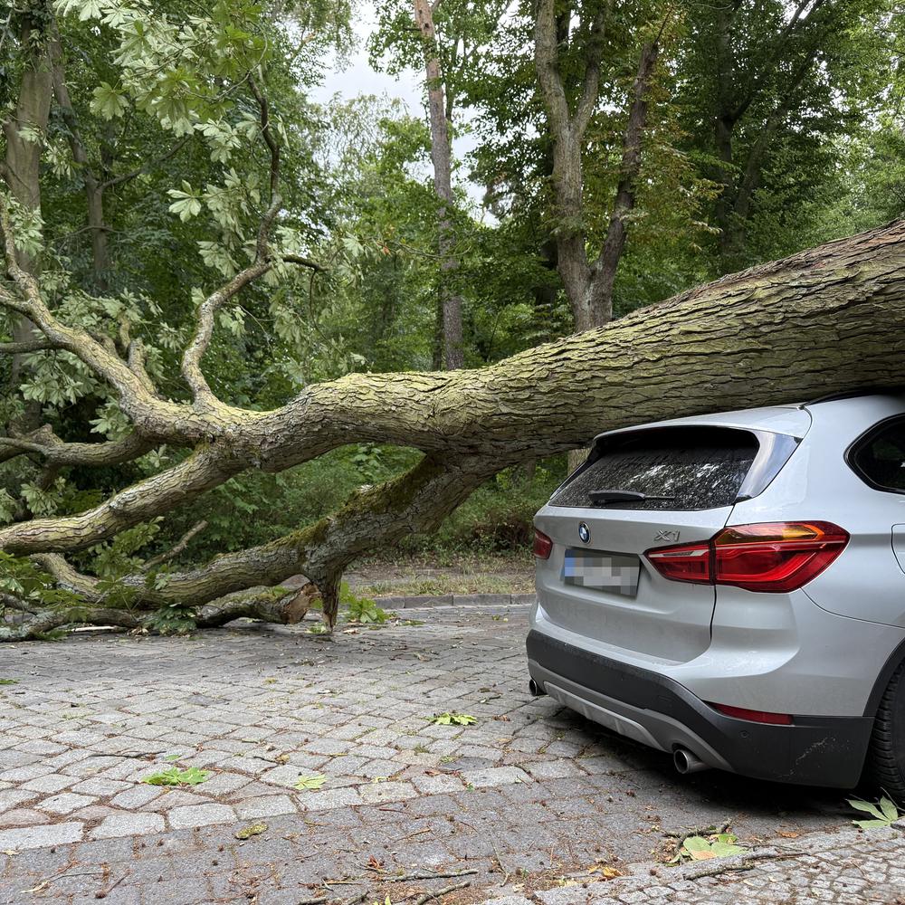 Wie schlimm wird es diesmal?: Das nächste Unwetter rollt auf Berlin zu