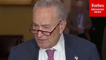 Chuck Schumer Asked Point Blank: What Is The Democratic Alternative To ...