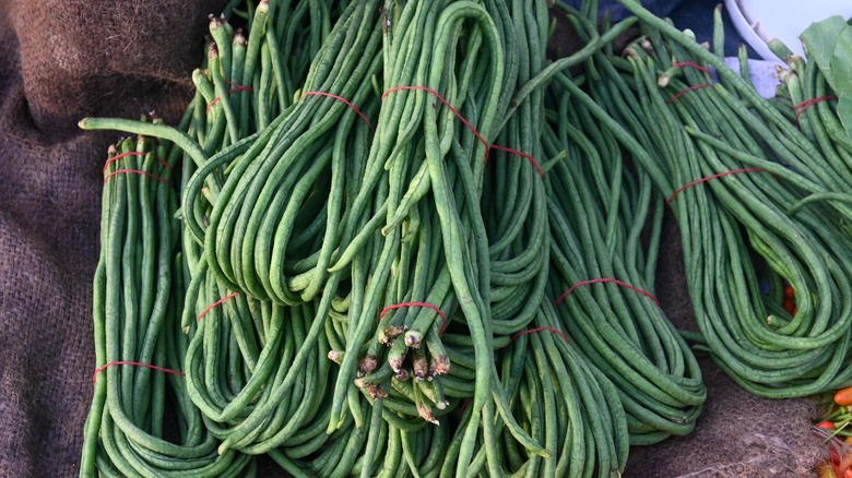 14 Types Of Green Beans You Should Get Familiar With