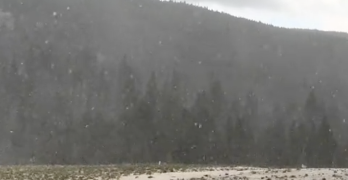 Snow Blankets Yellowstone Area Amid Wyoming’s June Cold Snap