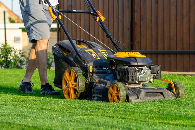 Gardening expert shows exactly how you've been mowing your lawn wrong