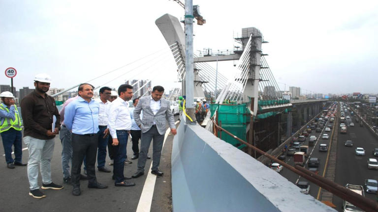 Civil works on SCLR cable-stayed bridge complete, final touches underway