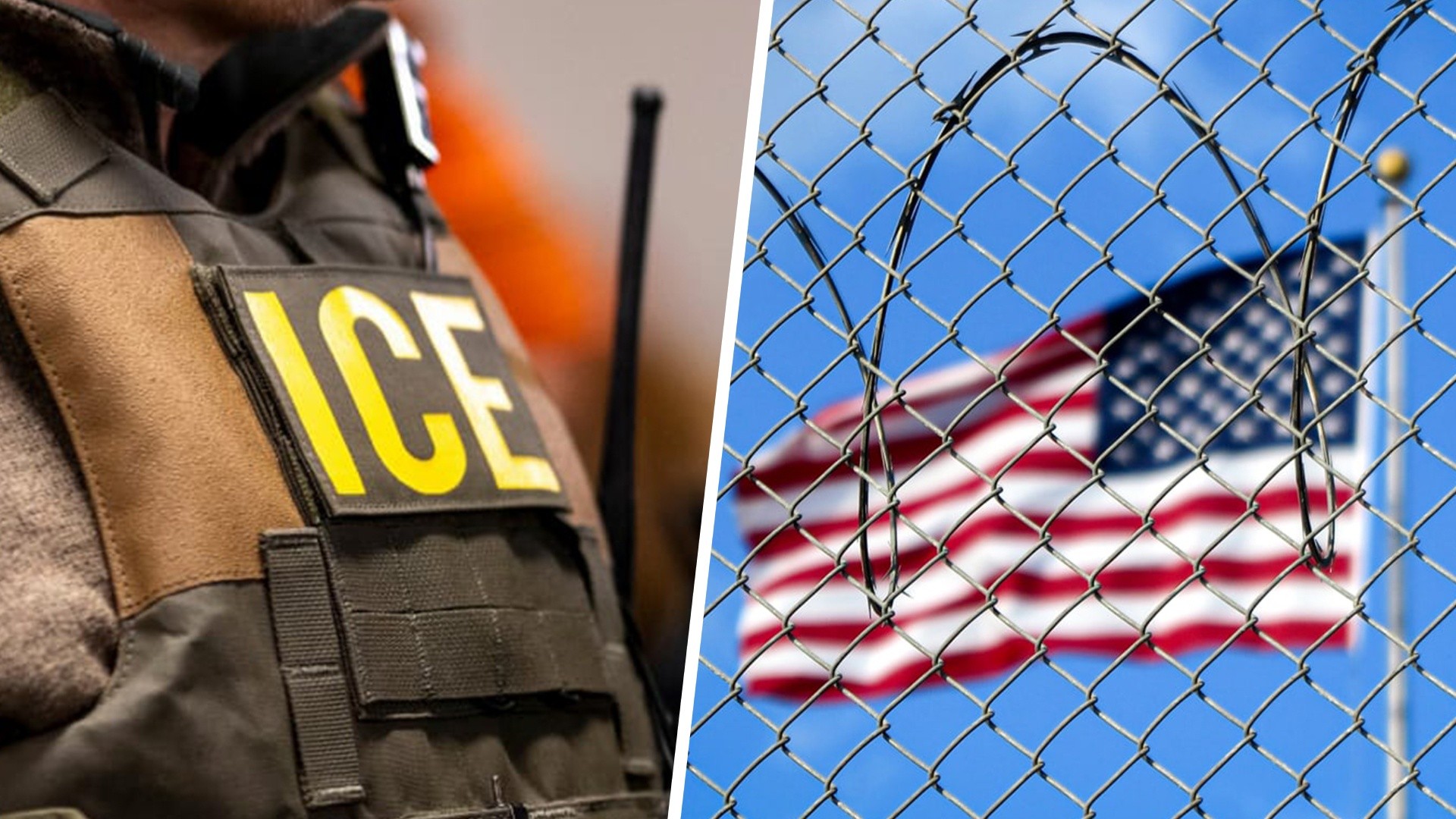 ICE has arrested only six percent of known immigrant murderers: Report