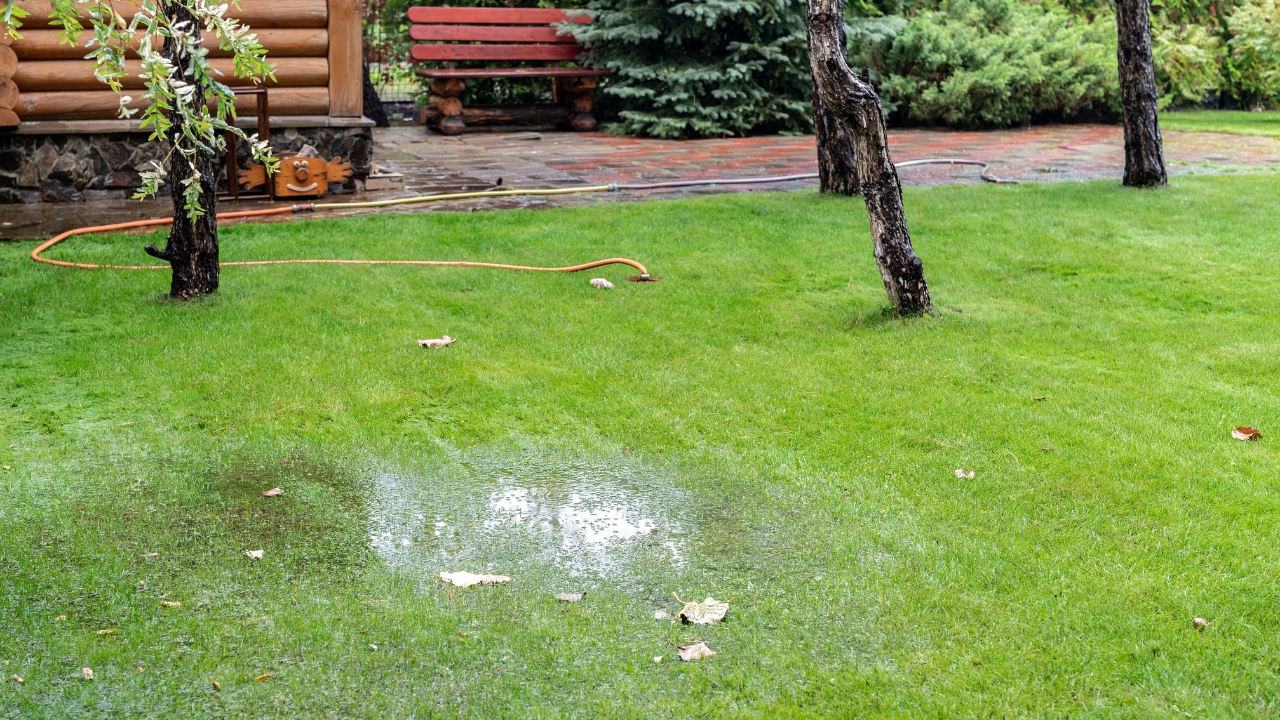 8 signs your land is working against your homestead goals