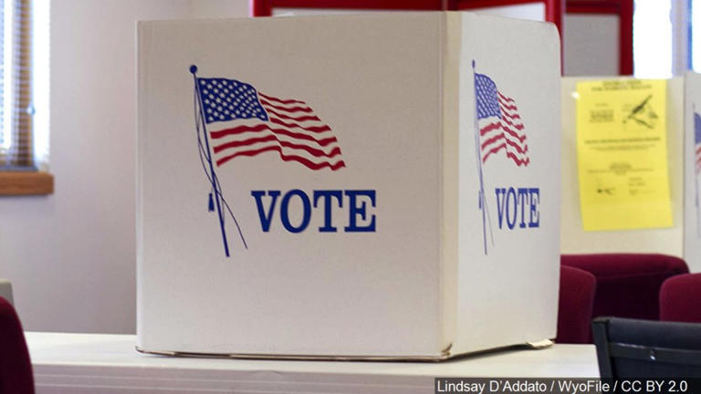 2025 Municipal Election voter guide