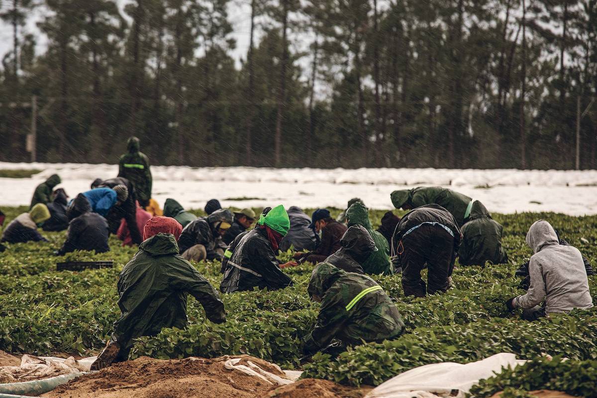 Estrangeiros são quase um quinto da população em idade ativa