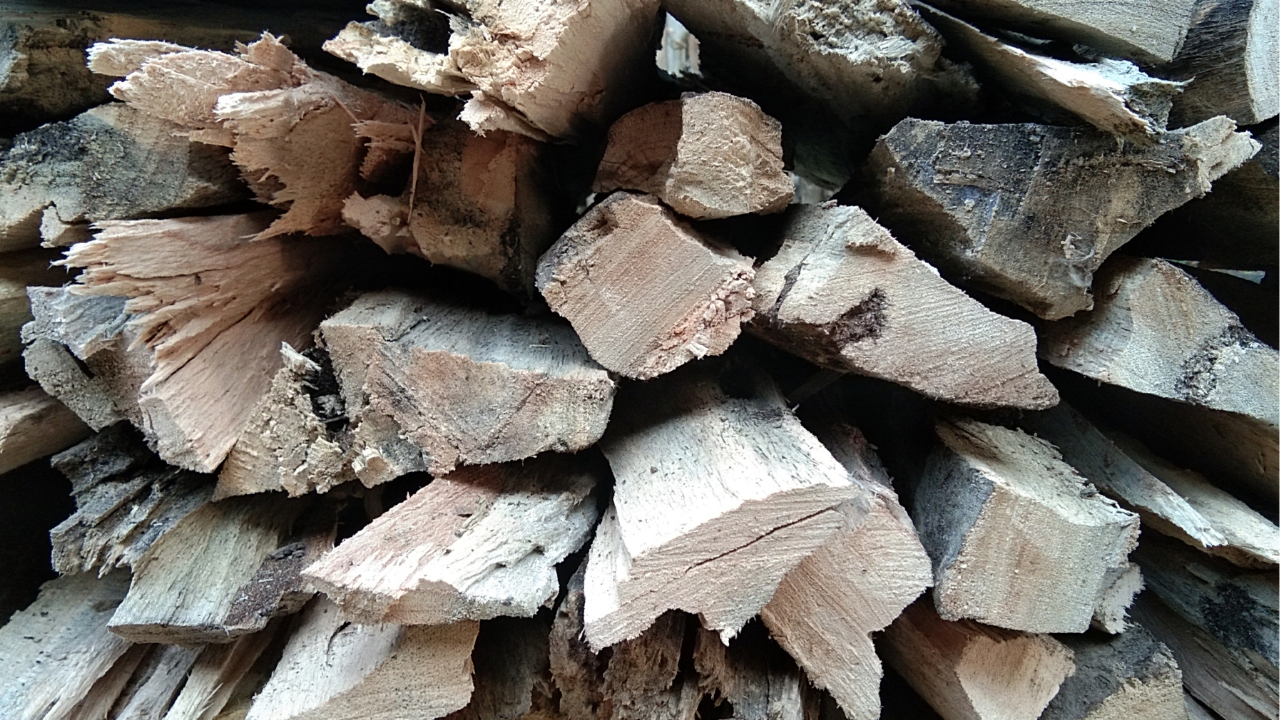 10 Types of Firewood That Are More Trouble Than They’re Worth
