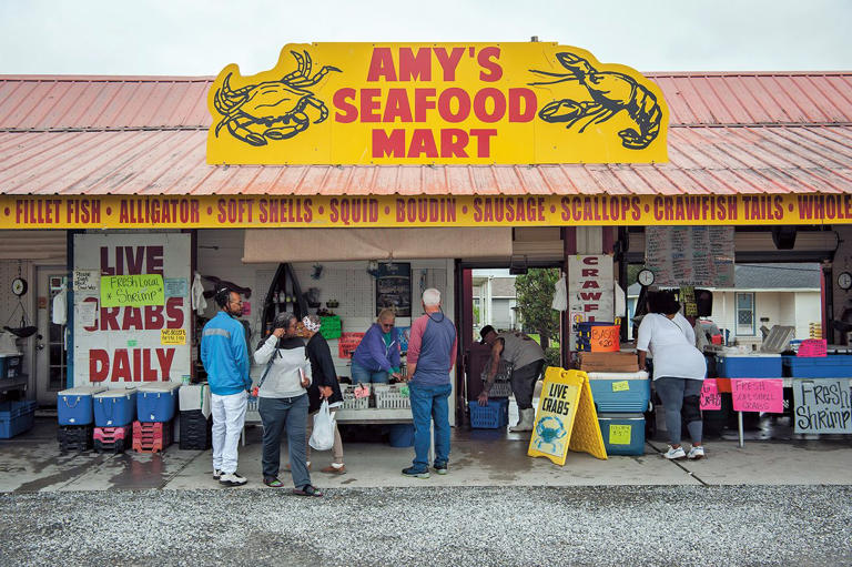 Can the Redfish, That Gulf Coast Culinary Icon, Be Brought Back From ...
