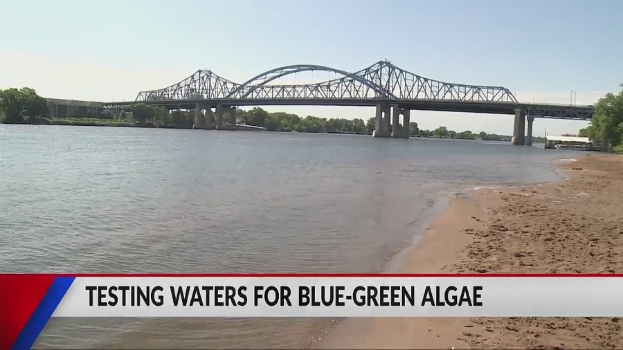 Coulee Region health officials warn of blue-green algae blooms when ...