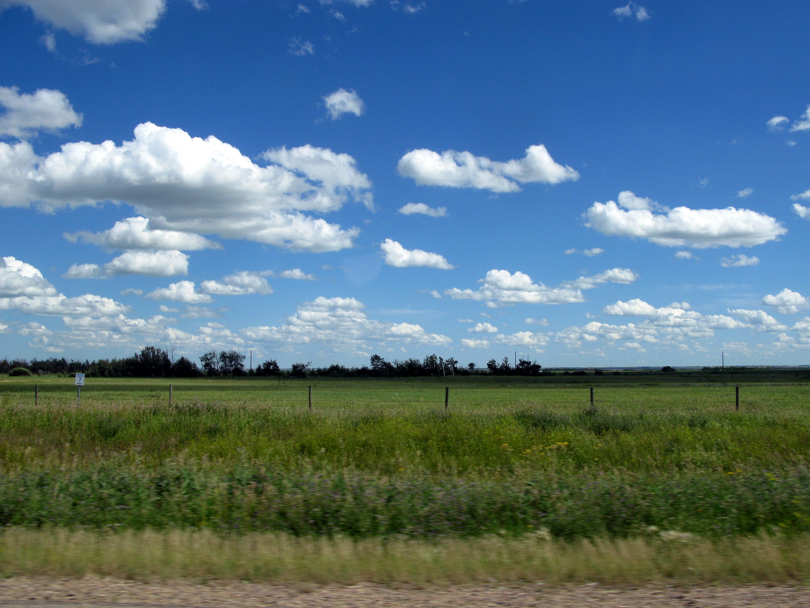 15 Top-Rated Tourist Attractions in Saskatchewan Canada