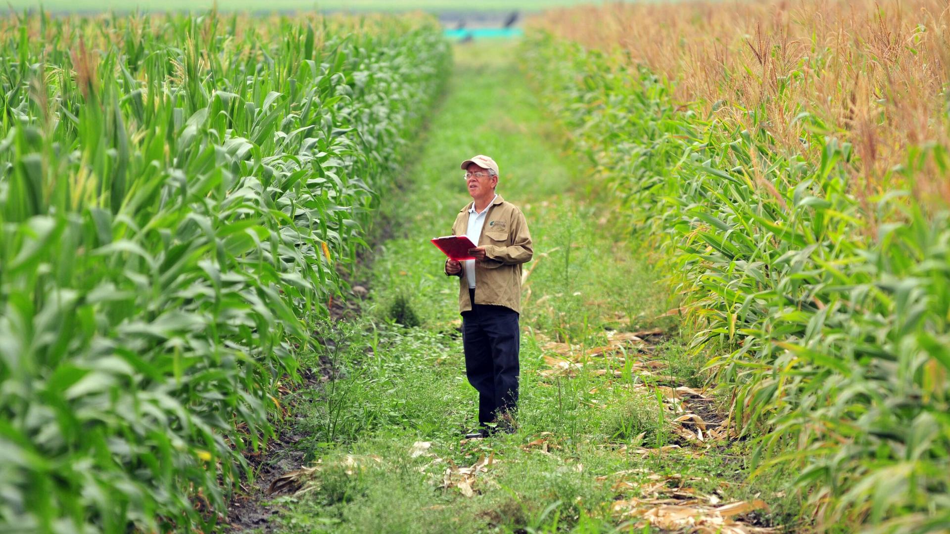 Super Crops: Engineering Agriculture for a Hotter Future