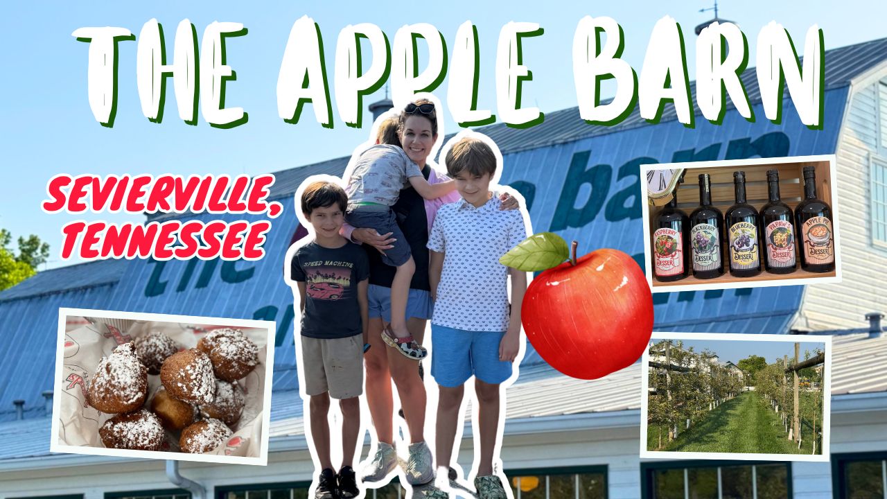 Apples, Wine & Fritters: Tour The Apple Barn in Sevierville, TN