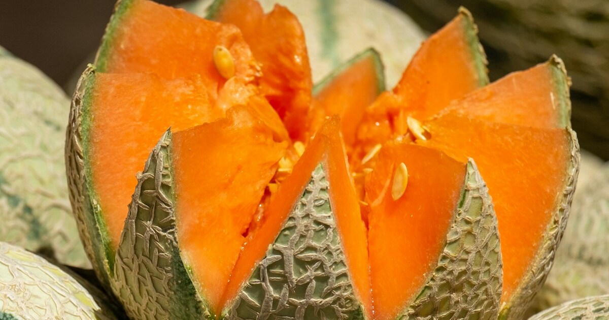 10 Mistakes To Avoid If You're Growing Melons This Year