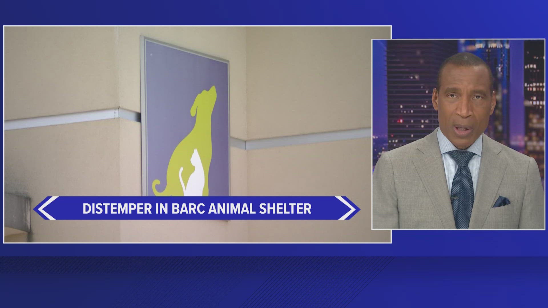 BARC forced to euthanize dogs after case of distemper