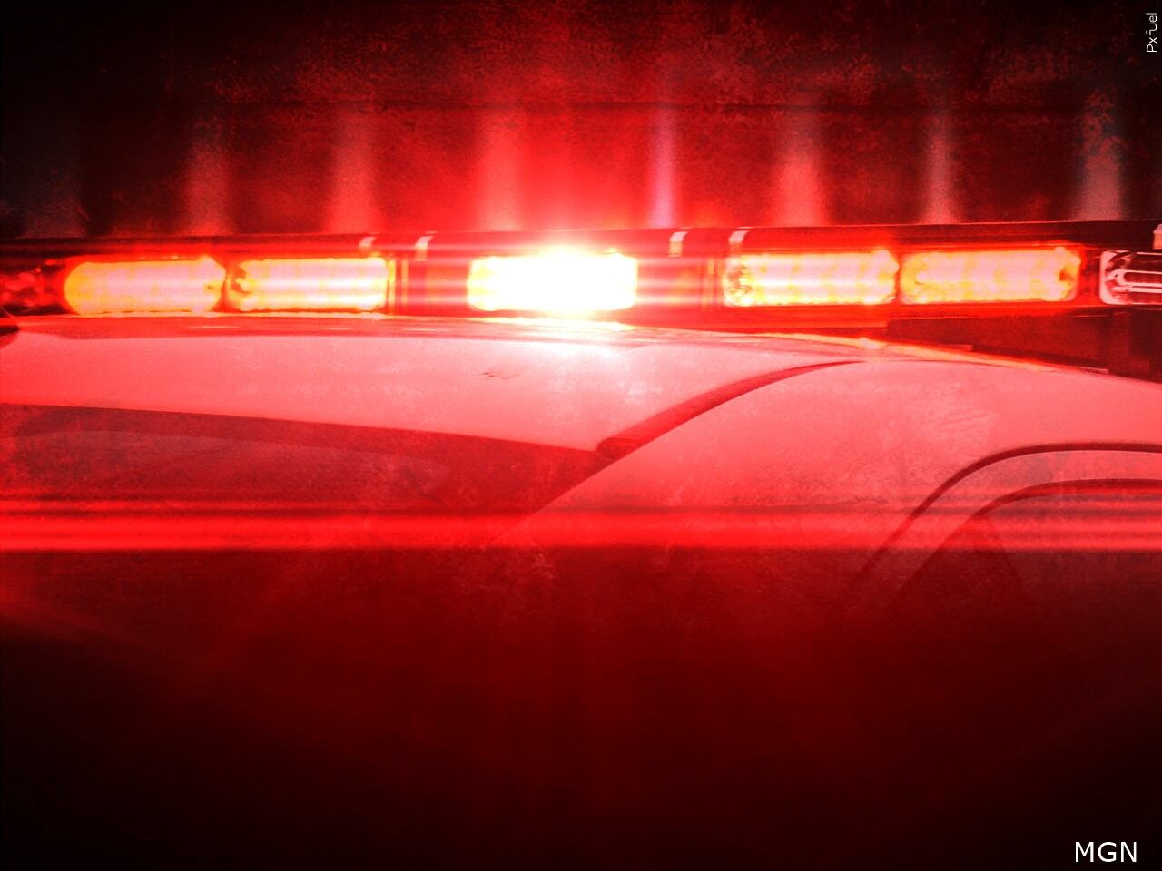 Maxton police K9 finds guns, drugs, and cash during patrol