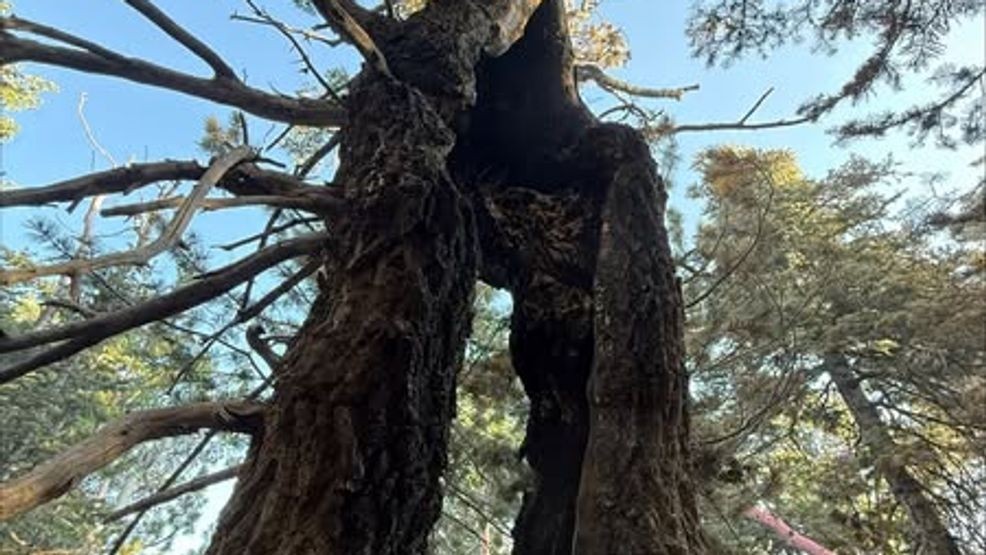 Lightning determined as official cause of Forsyth Fire in Pine Valley