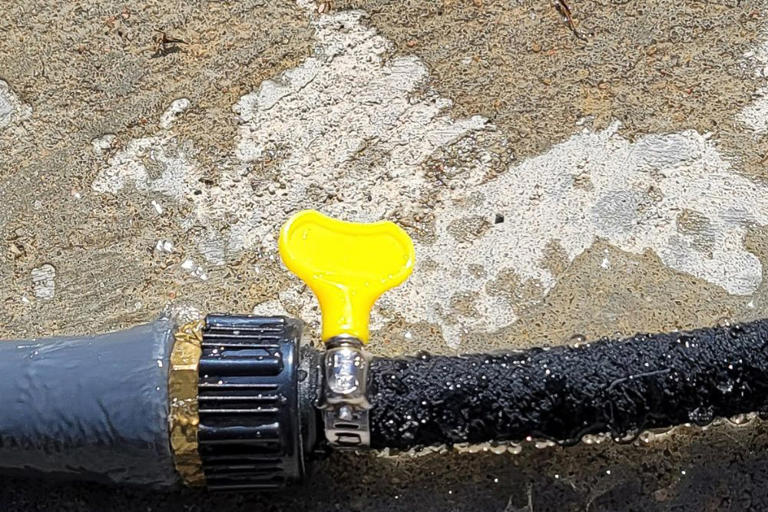 The best soaker hoses of 2026, tested and reviewed