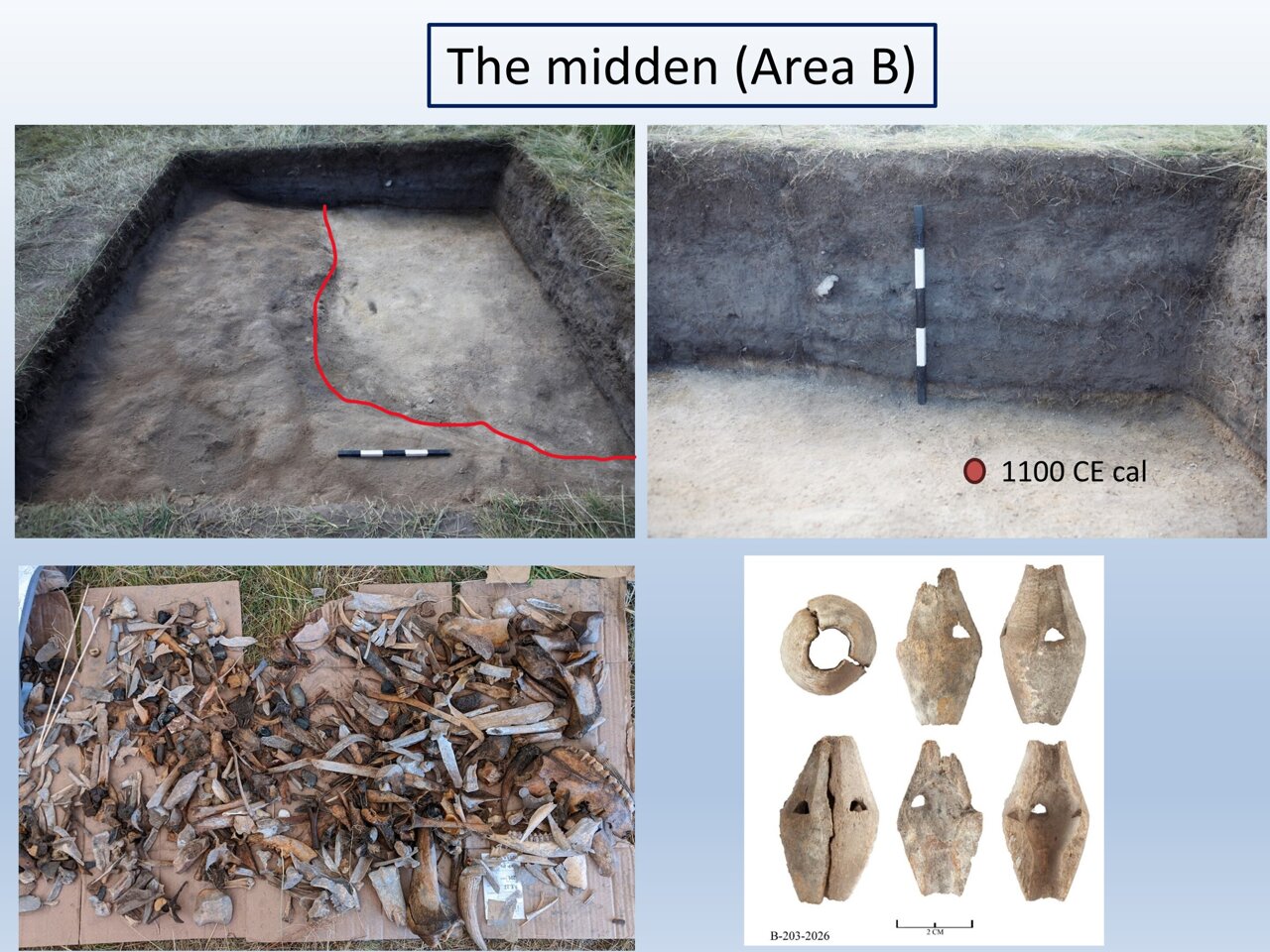 What animal bones from northeastern Mongolia reveal about life on the ...