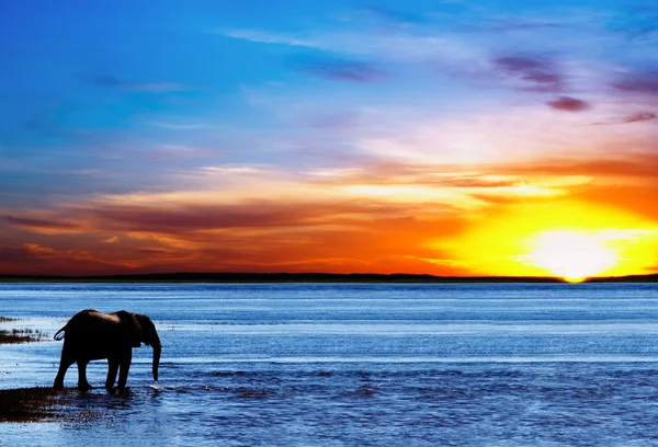 19 Botswana Experiences That Aren’t Game Drives