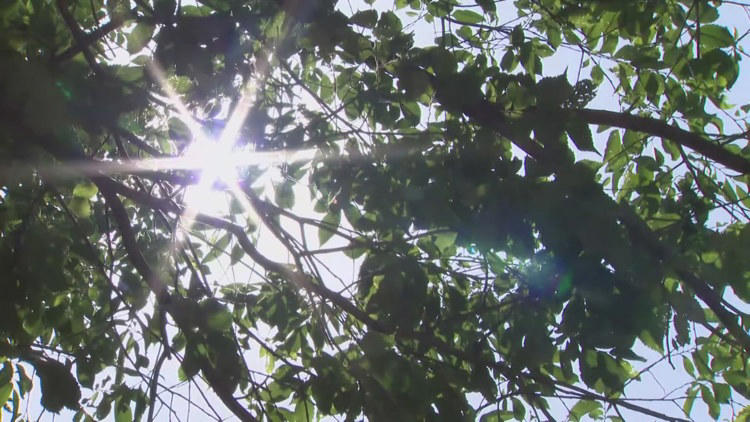 Heat watch or heat warning: Here's the difference