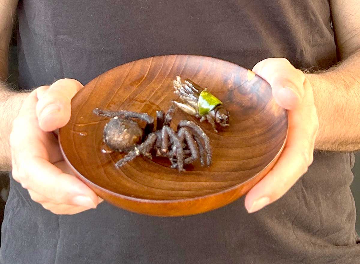 We Want Plates: The backlash against pretentious dining trends