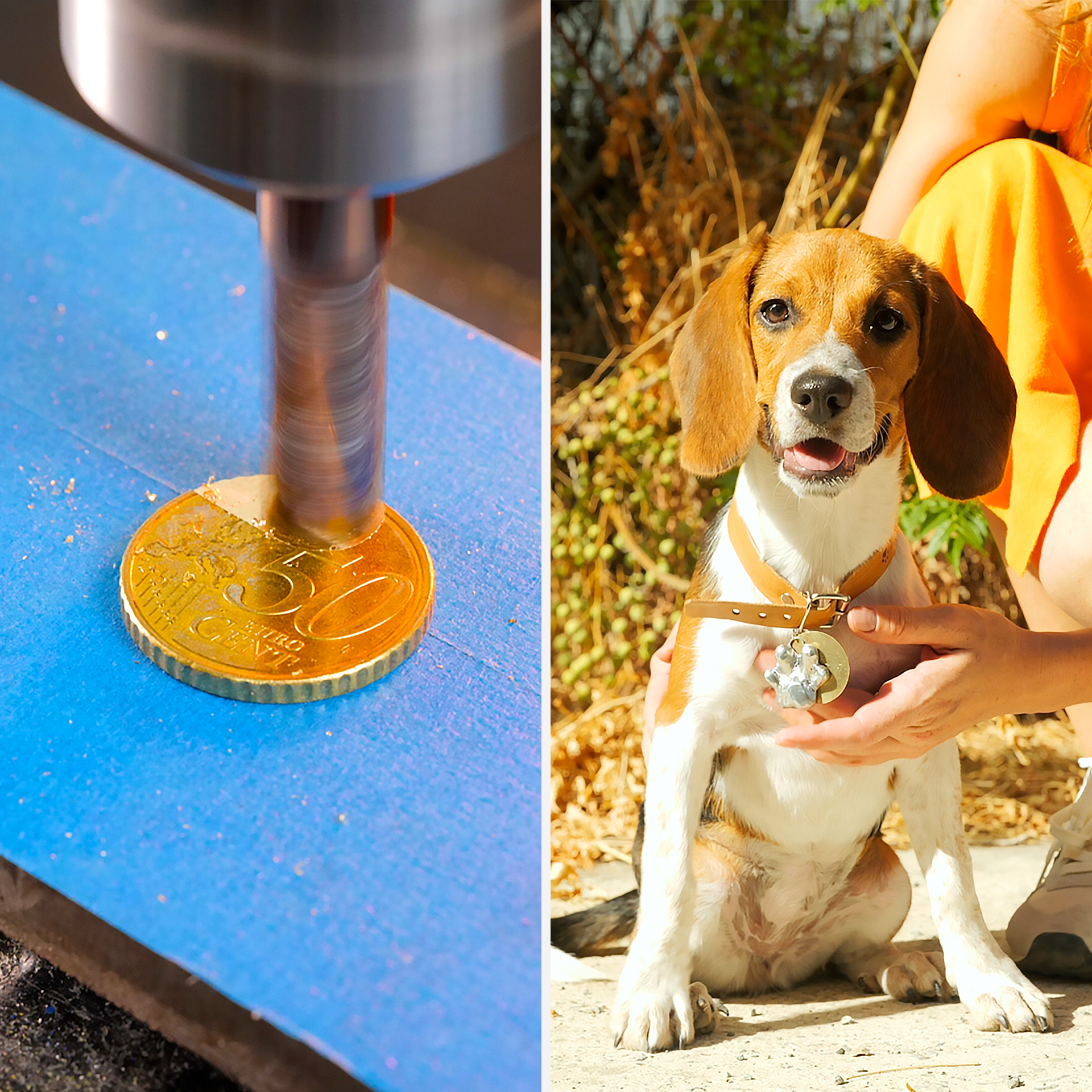 She turned a coin 🪙 into a new collar for her DOG 🐶 Amazing result!