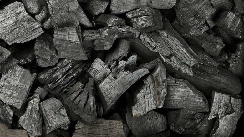 5 Types Of Charcoal, Explained