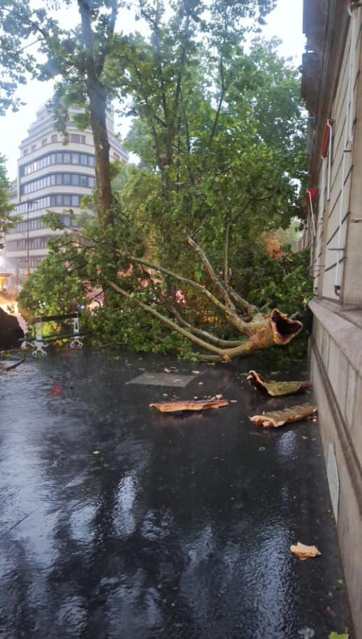 Pluies torrentielles, éclairs... Les images impressionnantes des ...