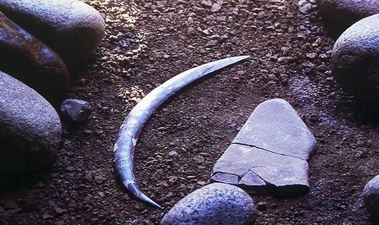 40,000-Year-Old Mammoth Ivory Boomerang And Human Finger Hint At ...
