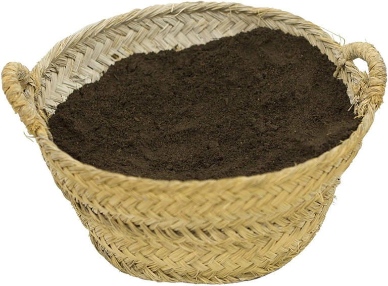 Humus de lombriz: beneficios, usos y guía completa del abono natural ...