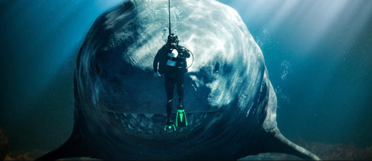 Megalodon Sharks Were Prehistoric Nightmares. Why Did They Go Extinct?