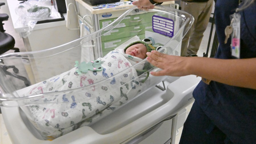 Few see falling birth rates as a priority: Survey