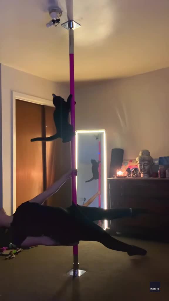 Cat Practices Pole-Dancing Alongside Owner